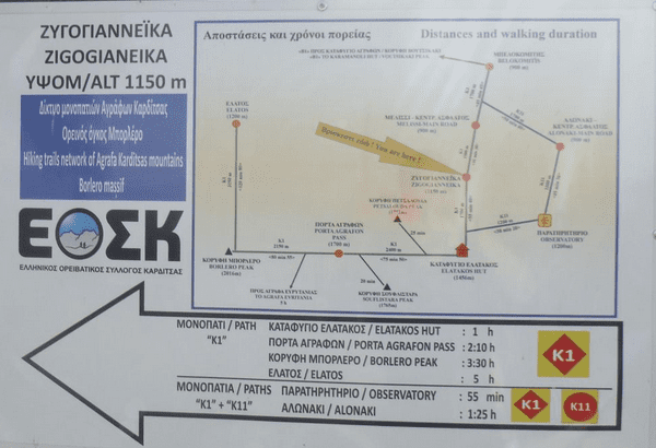 ΚΥΡΙΑΚΗ 4 ΜΑΪ 2025 ΑΓΡΑΦΑ: ΚΕΔΡΟΣ – ΚΟΡΥΦΗ ΜΠΟΡΛΕΡΟ - Υπαίθριος Ζωή Λαρίσης
